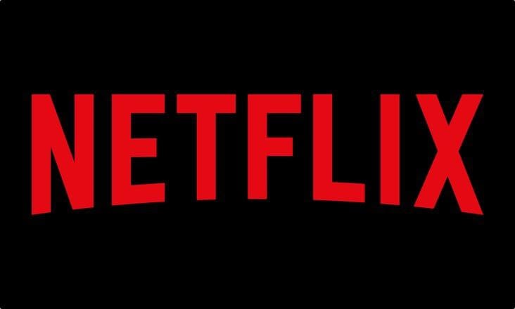 Netflix Rakes in Record Profits for 2024 - TrackTollywood